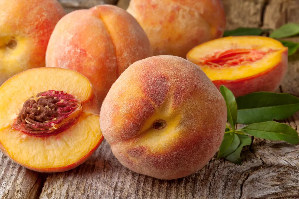 Top 10 Most Popular Edible Plants for a Minnesota Food Forest - Edible ...